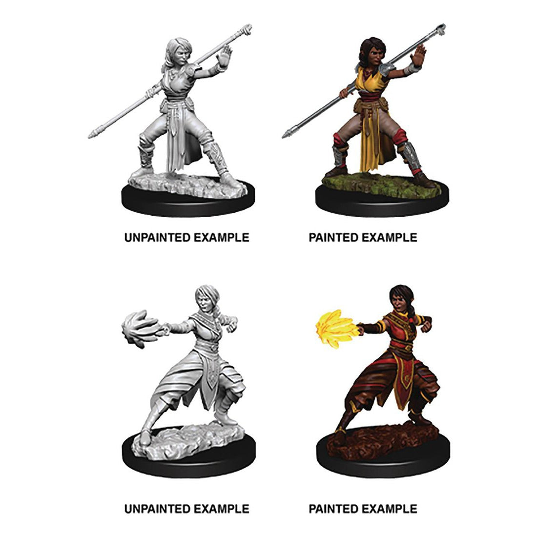 D&D Nolzur's Marvelous Miniatures: Half-Elf Monk (She/They) - Wave 10 ...